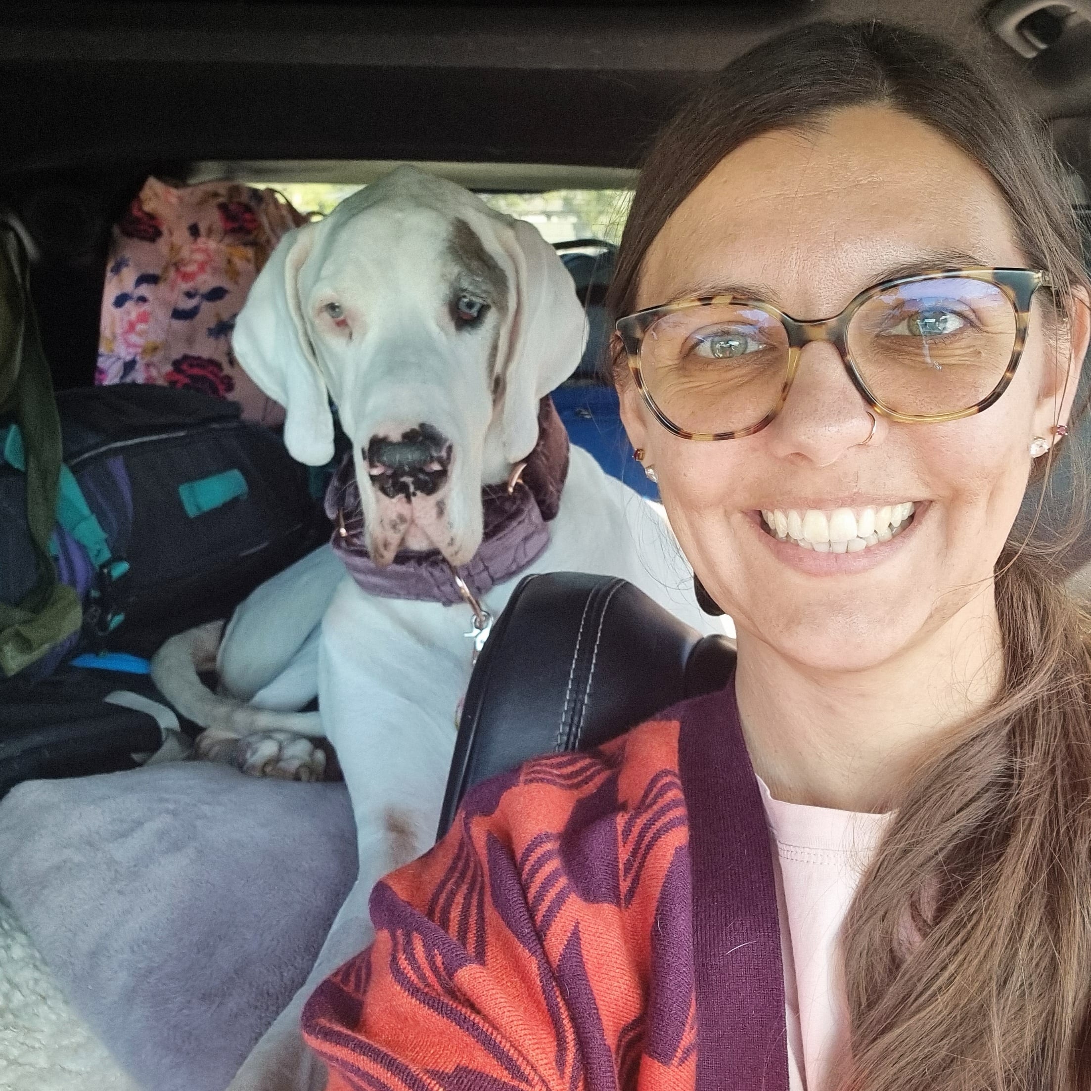 Planning a Dog Friendly Holiday in Australia – Arctic Mist