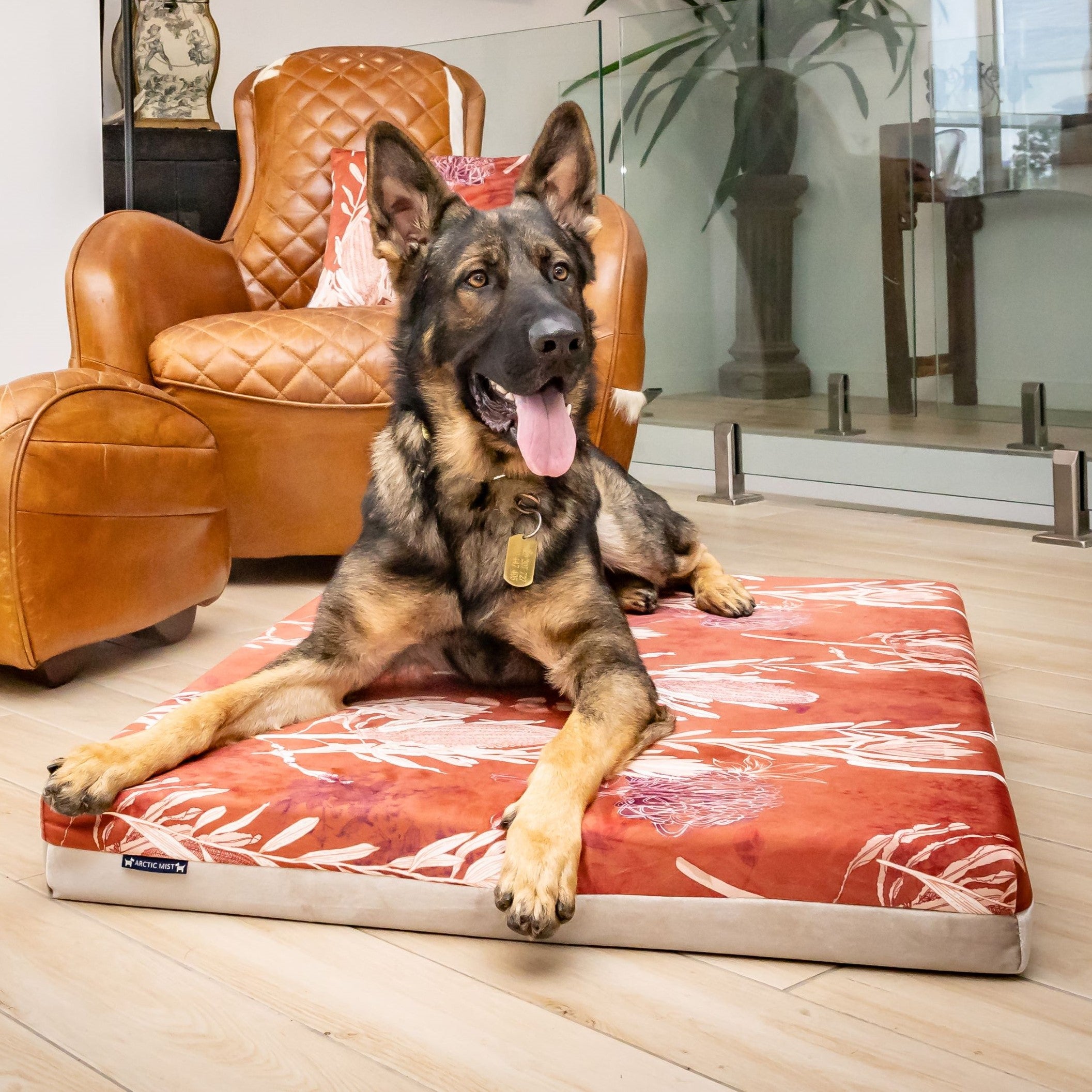 Large Luxury Orthopedic Dog Bed – Arctic Mist