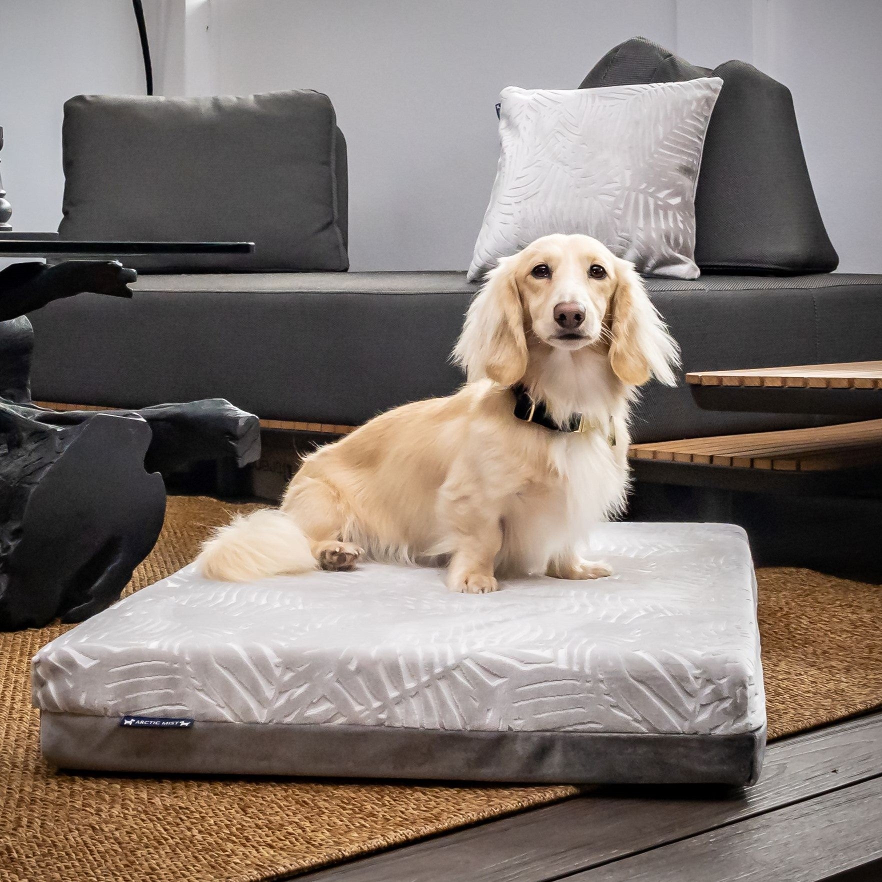 Medium Luxury Orthopedic Dog Bed – Arctic Mist